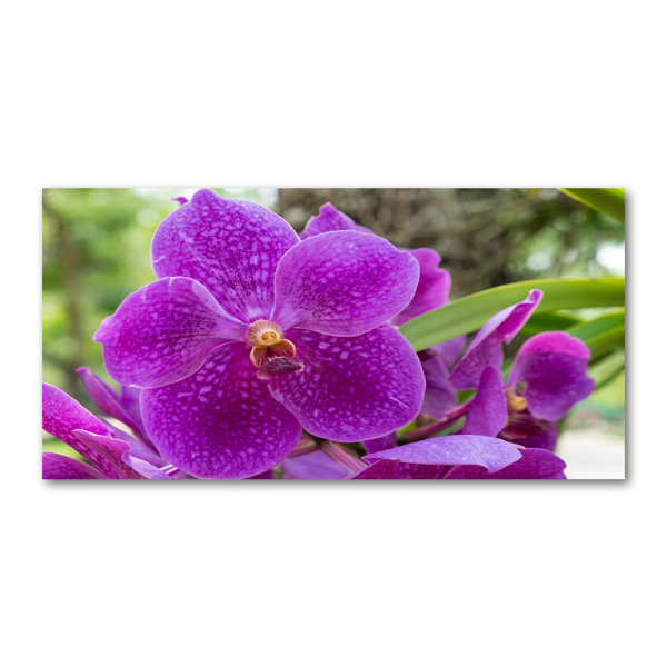 Brayden Studio Orchidee - Kunstdrucke auf Leinwand - Wrapped Canvas | Wayfair.de